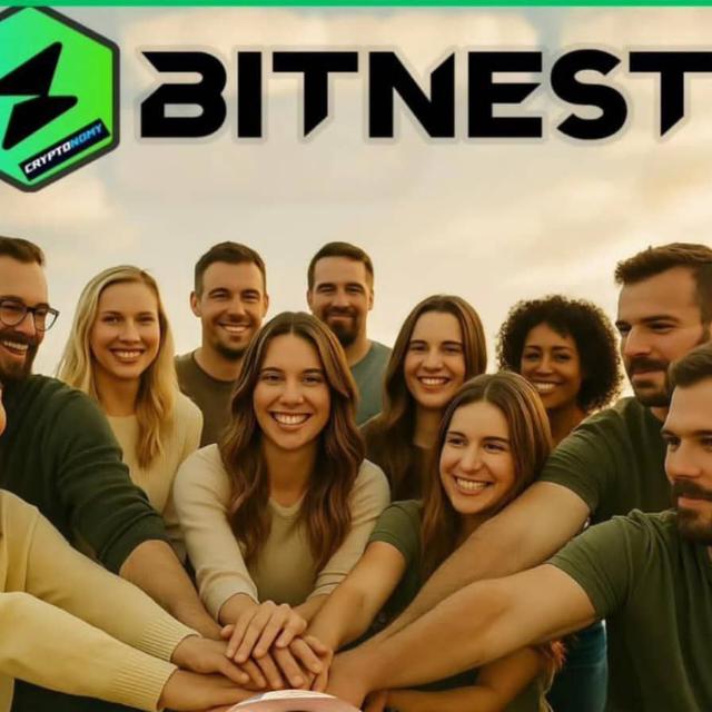 Grupo De WhatsApp BITNEST ALFA 💱