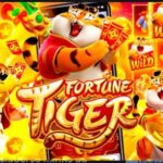 Grupo De WhatsApp Plataforma Dos Bigod 🍀